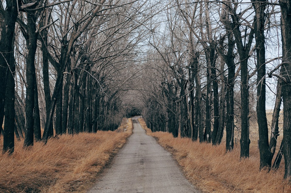 ‘Life’s like a road that you travel on’ – Reignite my Story
